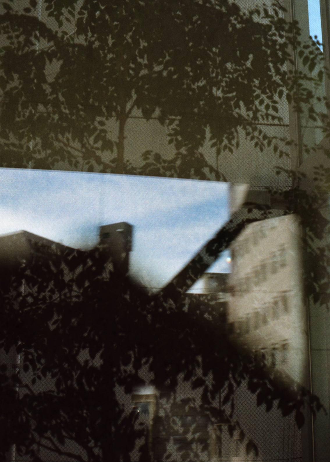 soft limits – Robel Collection